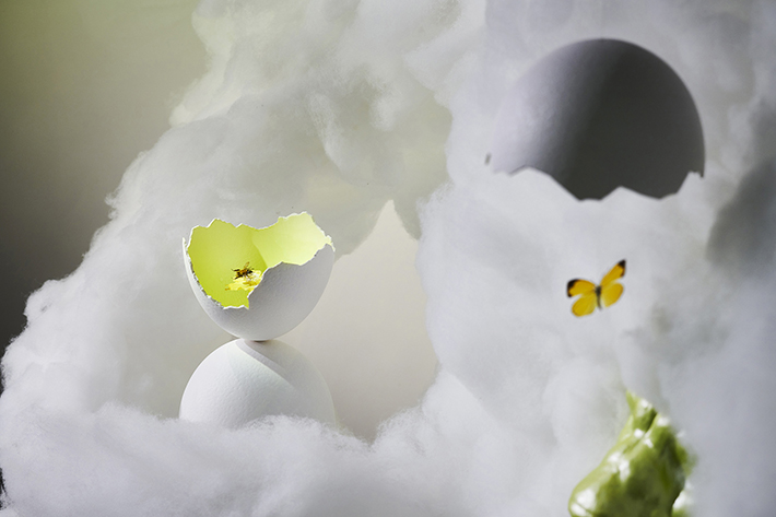 Spring「Open the egg」 – GINZA SIX | GSIX | ギンザ シックス | 銀座シックス